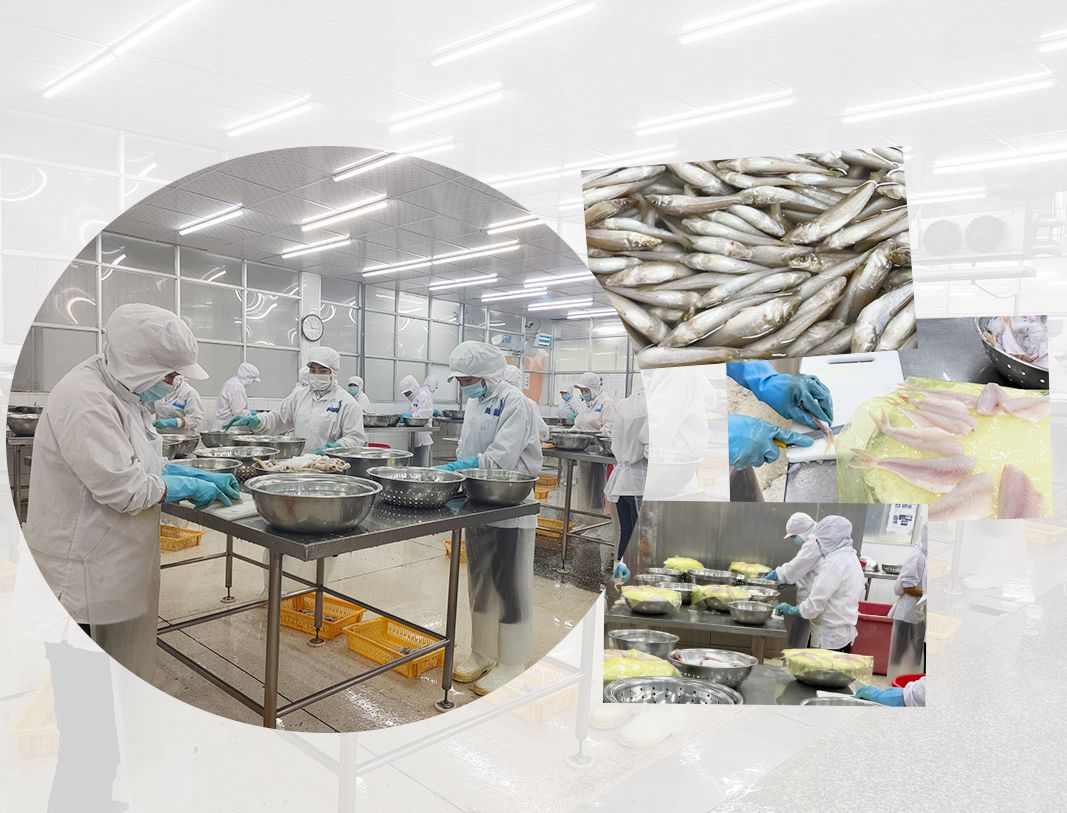 Tung Kong Seafood Ice Co.,Ltd - Tung Kong Seafood Ice Co.,Ltd